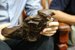Oud: A Detailed Guide - Ensar Oud